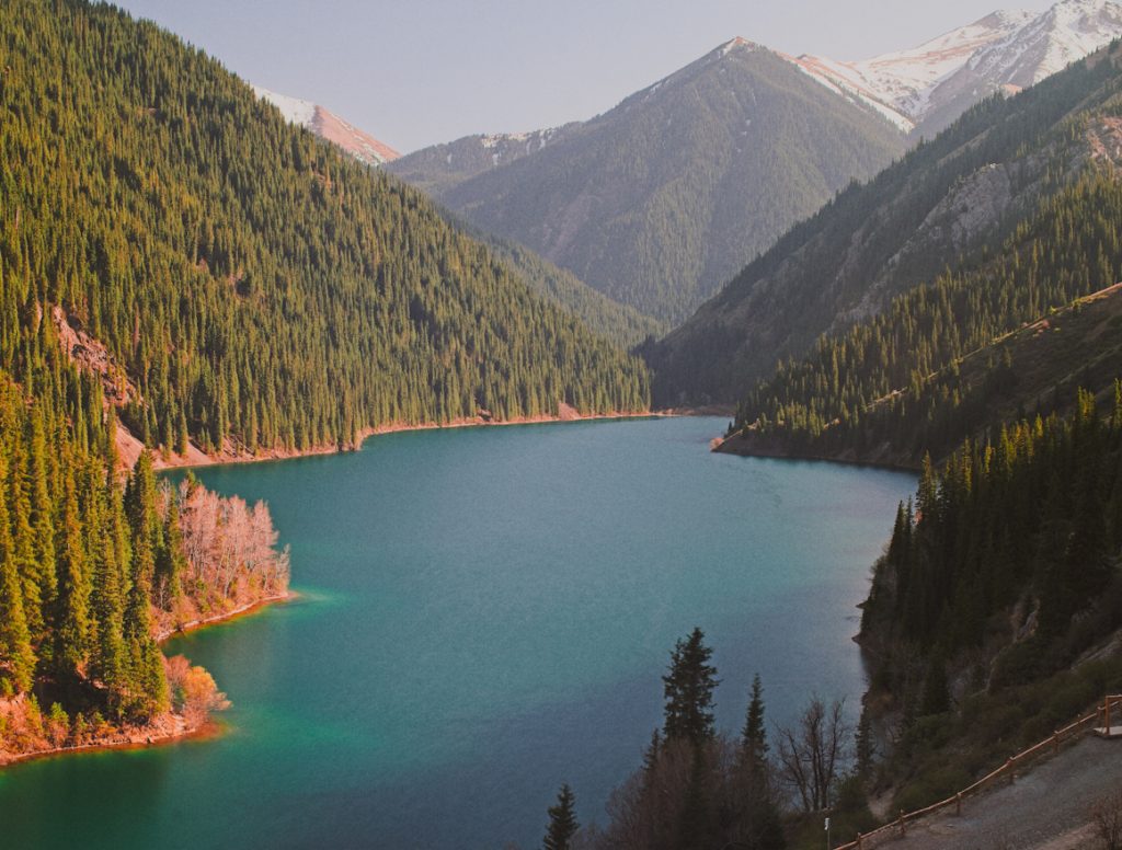 Shot on Soviet Lenses - Soviet Lens Reviews